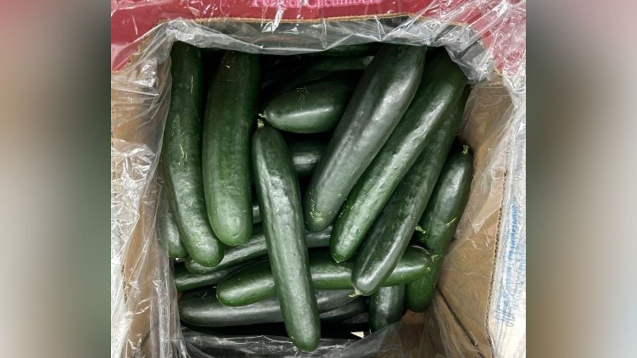 FDA Issues Recall Alert for SunFed Cucumbers Due to Salmonella Risk | NTD