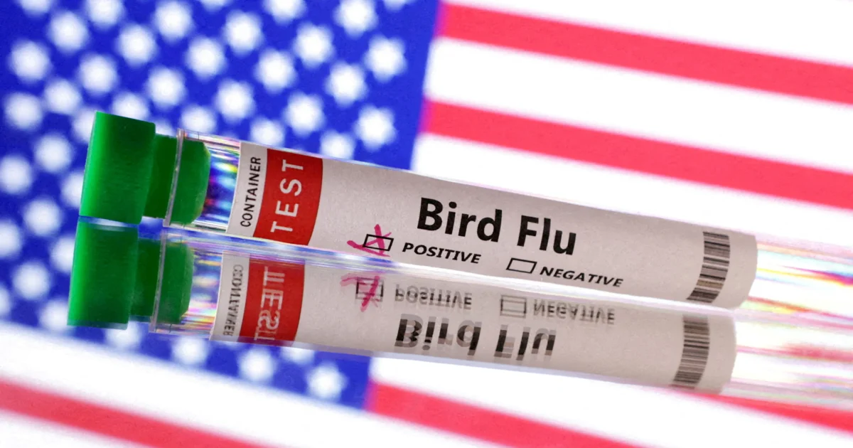 Bird Flu Virus Mutations Discovered in First Severe Human Case in US ...