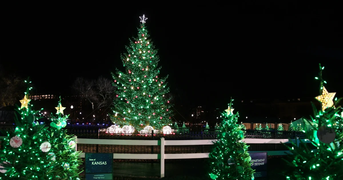 How to Best Get Into the Christmas Cheer This Season | NTD