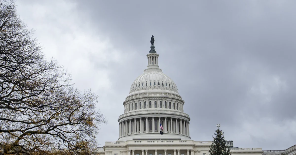 Congress Must Act to Cut Government Spending: Economist | NTD