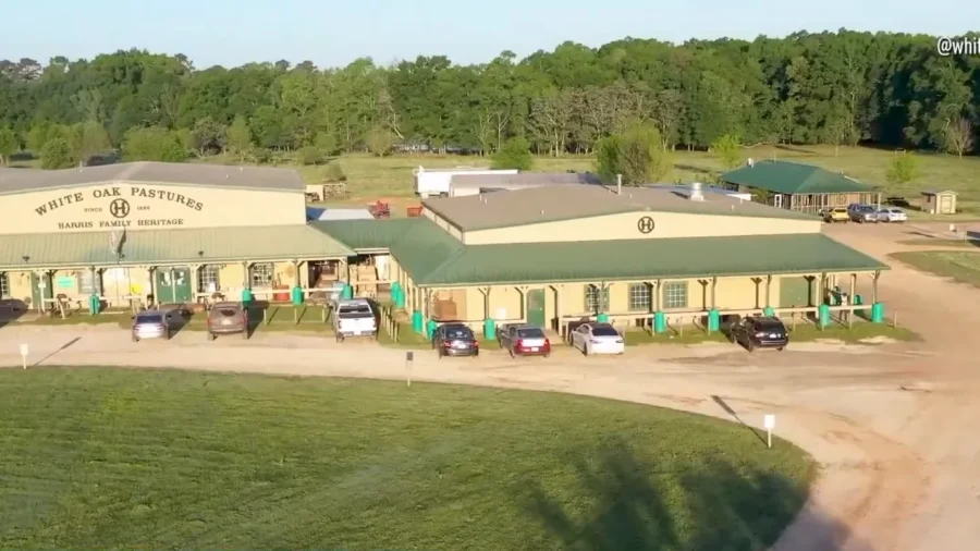 Generational Farm Revives Rural Community with Regenerative Practices | NTD