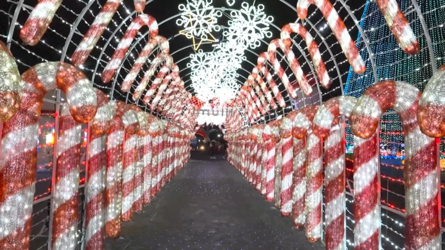 Toronto LED Show Lights Up the Holidays | NTD