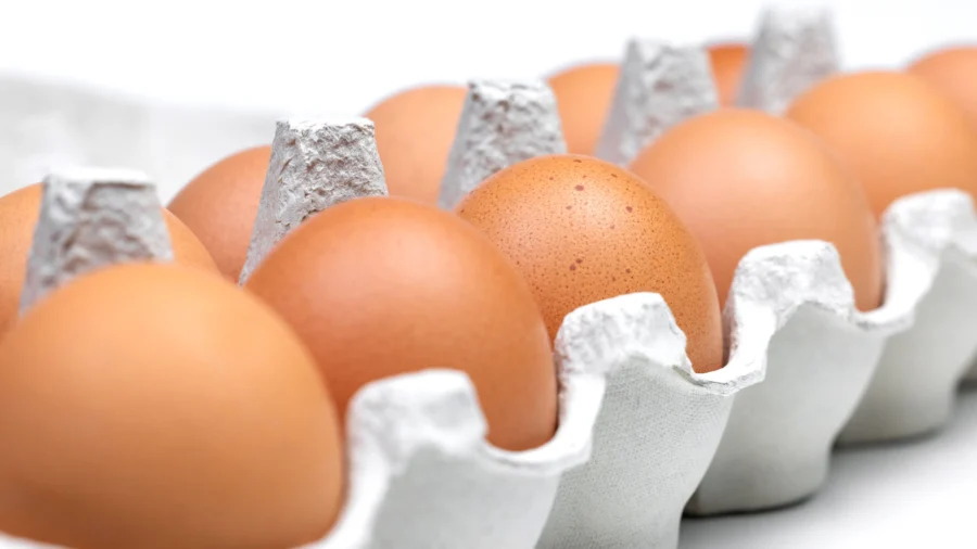 6.7 Million Eggs Recalled After FDA Detects Salmonella Contamination | NTD