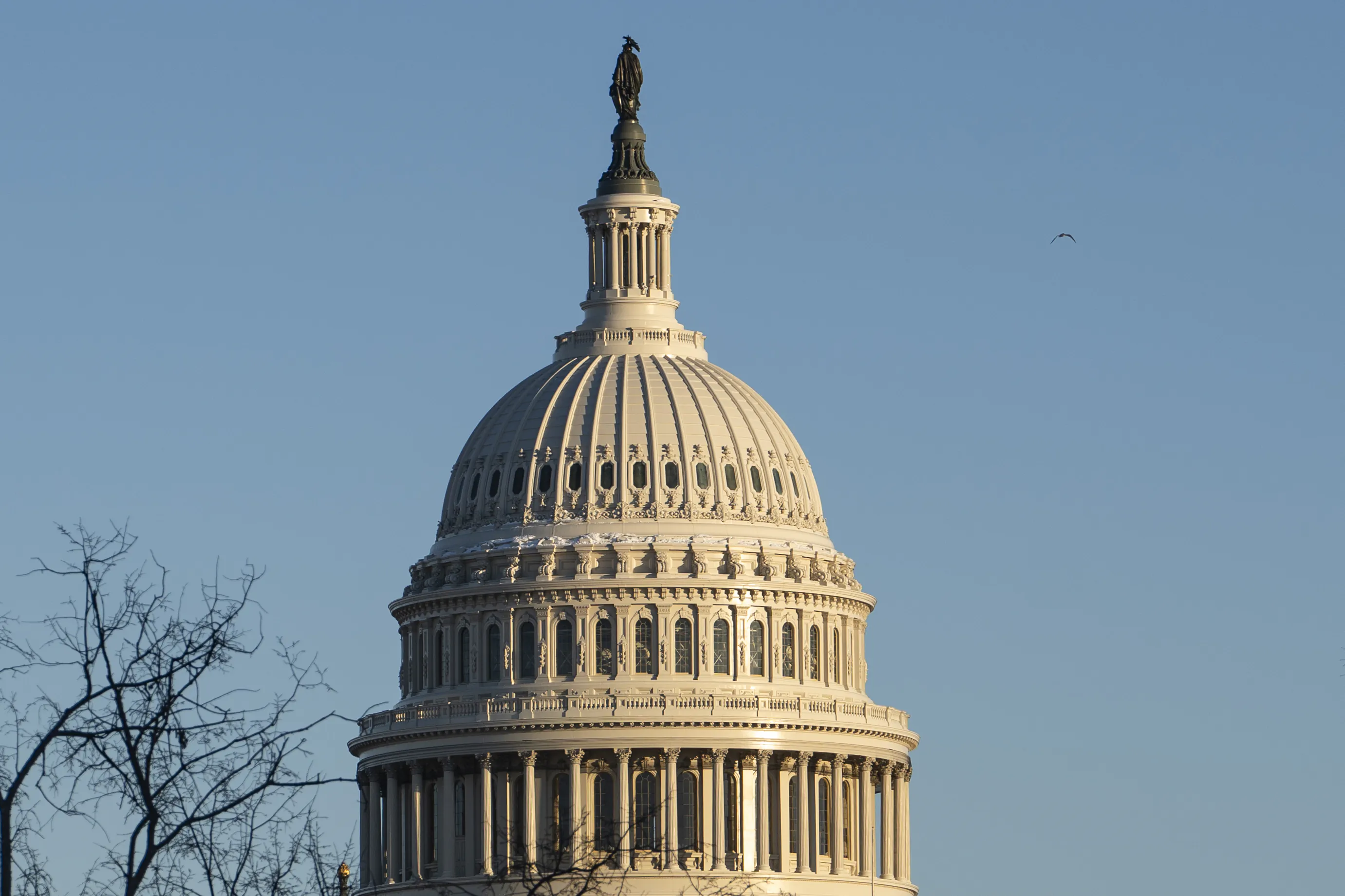 What to Know About the Senate Confirmation Process | NTD