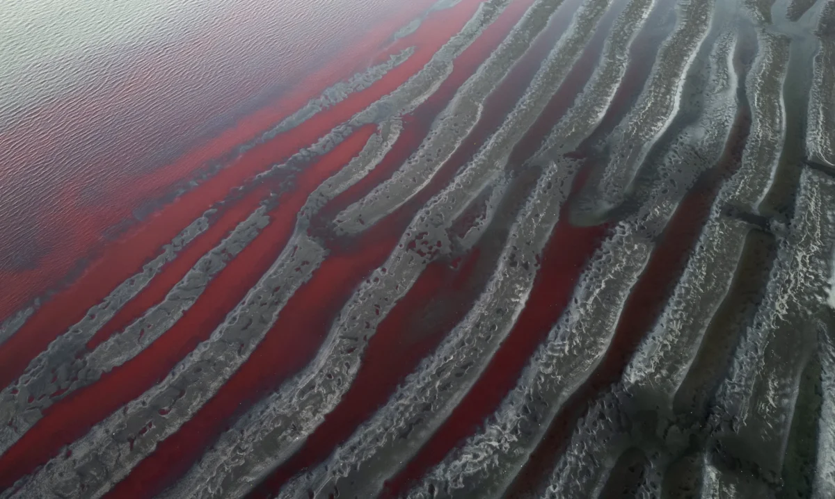 ‘It Looks Like a Stream of Blood’: River Near Buenos Aires Turns Red ...