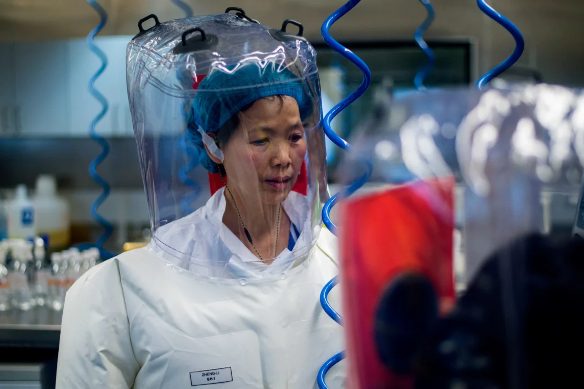 Chinese Researchers in Wuhan Lab Find COVID-Like Bat Virus | NTD