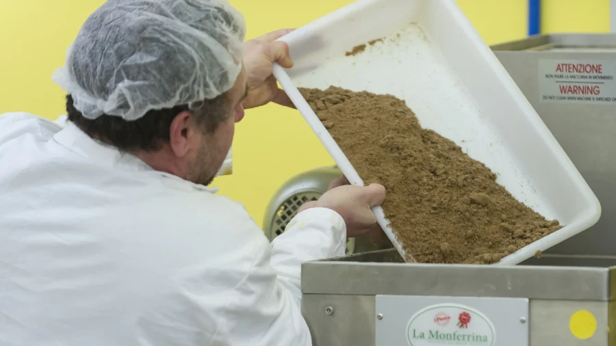 EU Approval of Insect Flour in Human Food Sparks Mixed Reactions | NTD