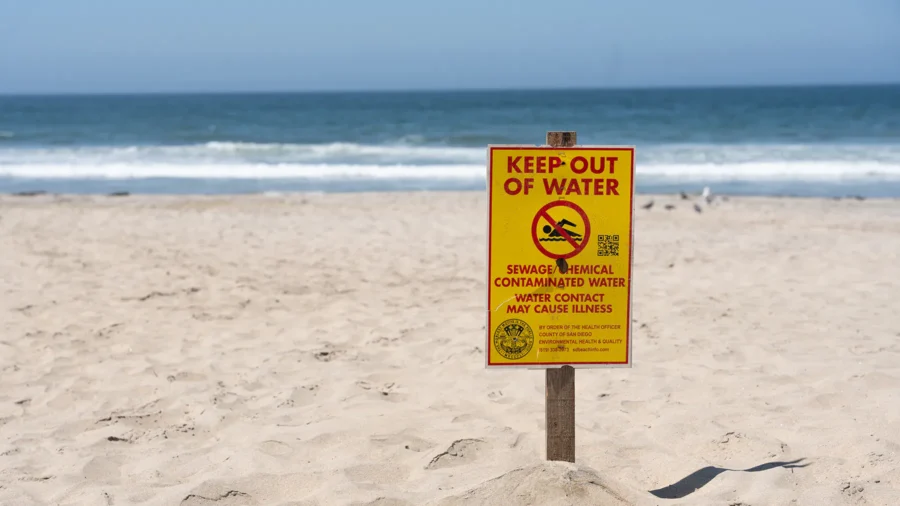 ‘High Bacteria’ Warnings Issued for Beaches Across US Ahead of Fourth ...