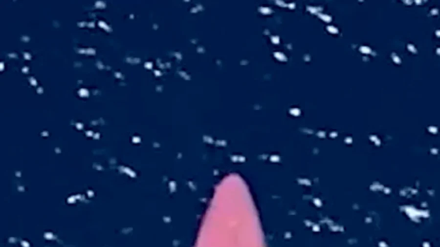 Coast Guard Releases Dramatic Footage of Chasing Drug Cartels at Sea | NTD