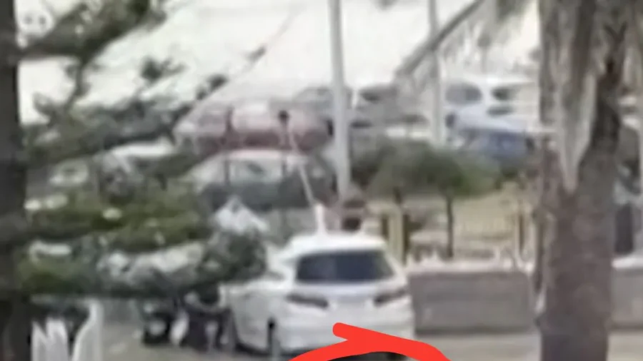 Video Shows Gunman Being Disarmed on Bondi Beach | NTD