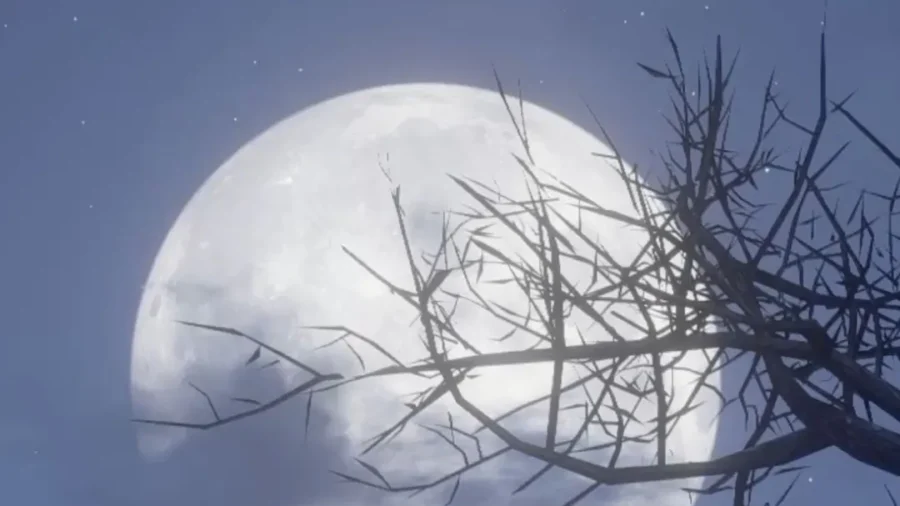 Supermoon and Quadrantid Meteor Shower to Kick Off New Year | NTD