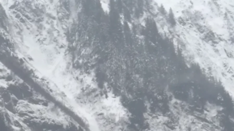 Video Shows Avalanche Following Evacuation Order in Alaska | NTD
