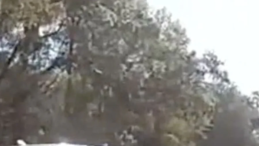 Florida Sheriff's Deputy Pursues and 'Handcuffs' Runaway Emu | NTD