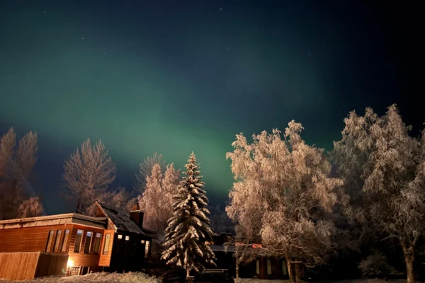Sun Releases the Largest Solar Radiation Storm in Over 20 Years | NTD